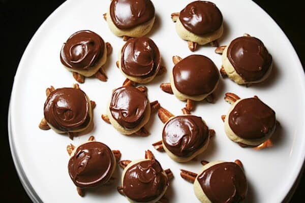 Snappy Turtle Cookies - Mom Loves Baking