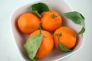 3-Ingredient Chocolate Clementines - Mom Loves Baking