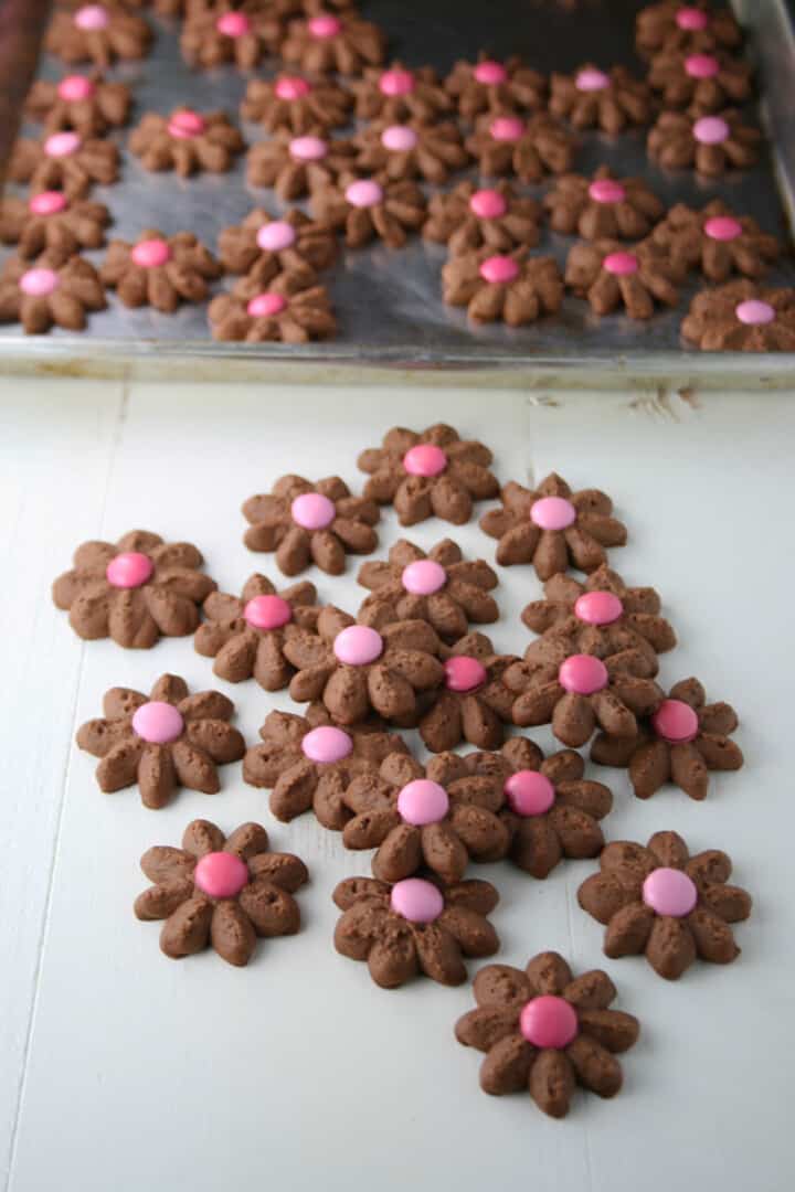 Chocolate Spritz Cookies - Mom Loves Baking