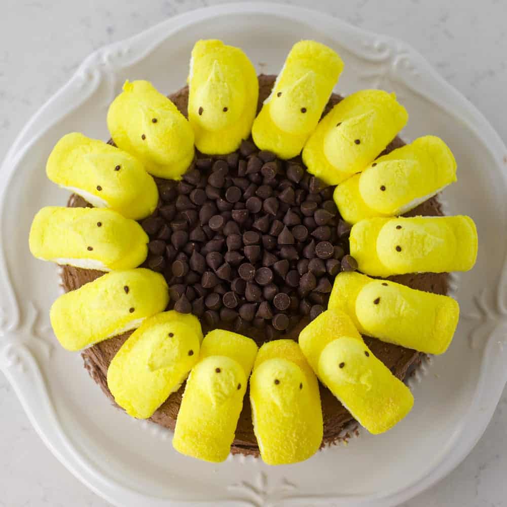 Easter Cake With Peeps