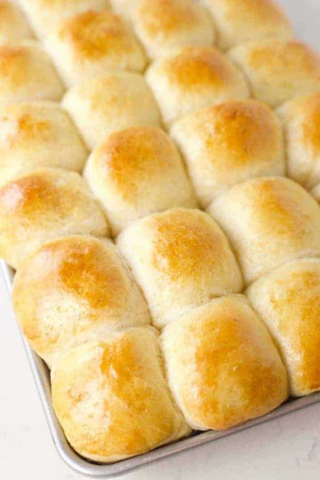 The Best Homemade Dinner Rolls Recipe - Mom Loves Baking