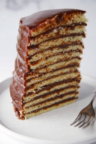 Lydia's 10-Layer Chocolate Cake - Mom Loves Baking