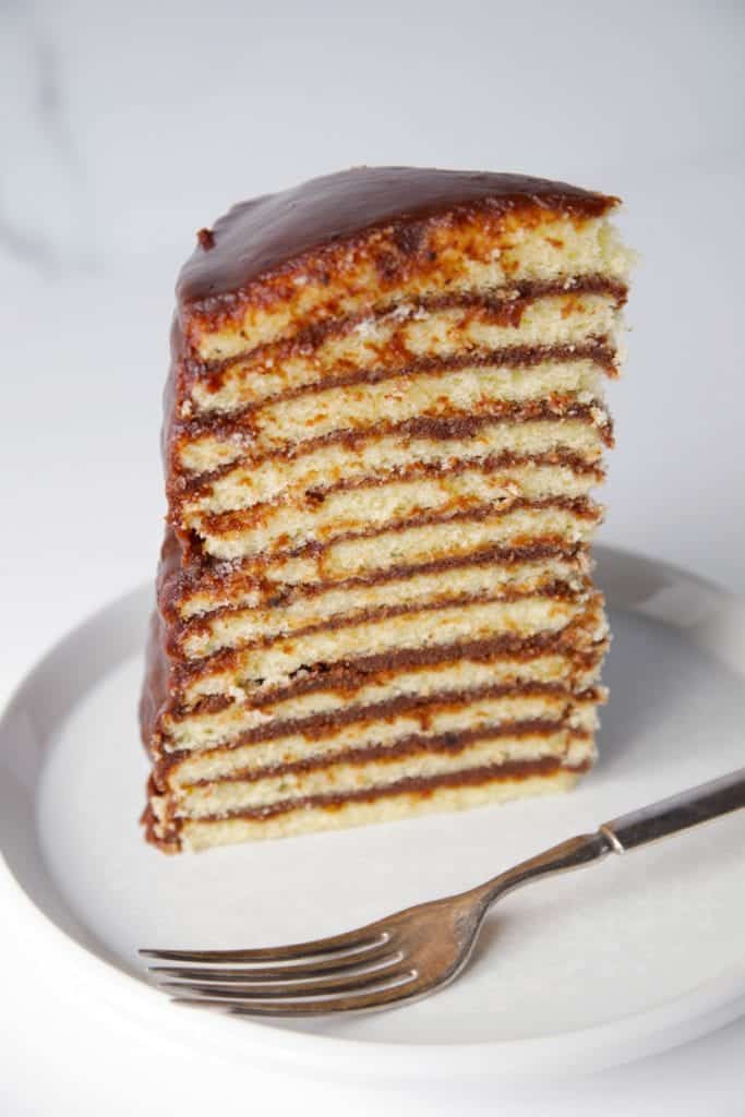 Lydia's 10-Layer Chocolate Cake - Mom Loves Baking