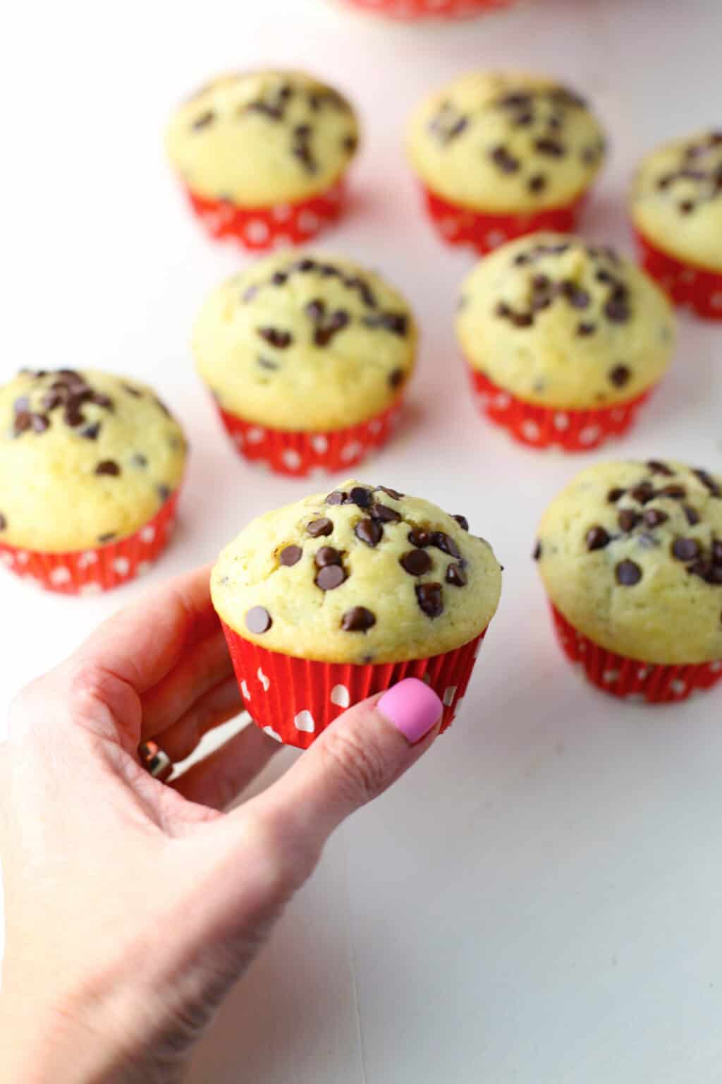 Bakery Style Chocolate Chip Muffins - Mom Loves Baking