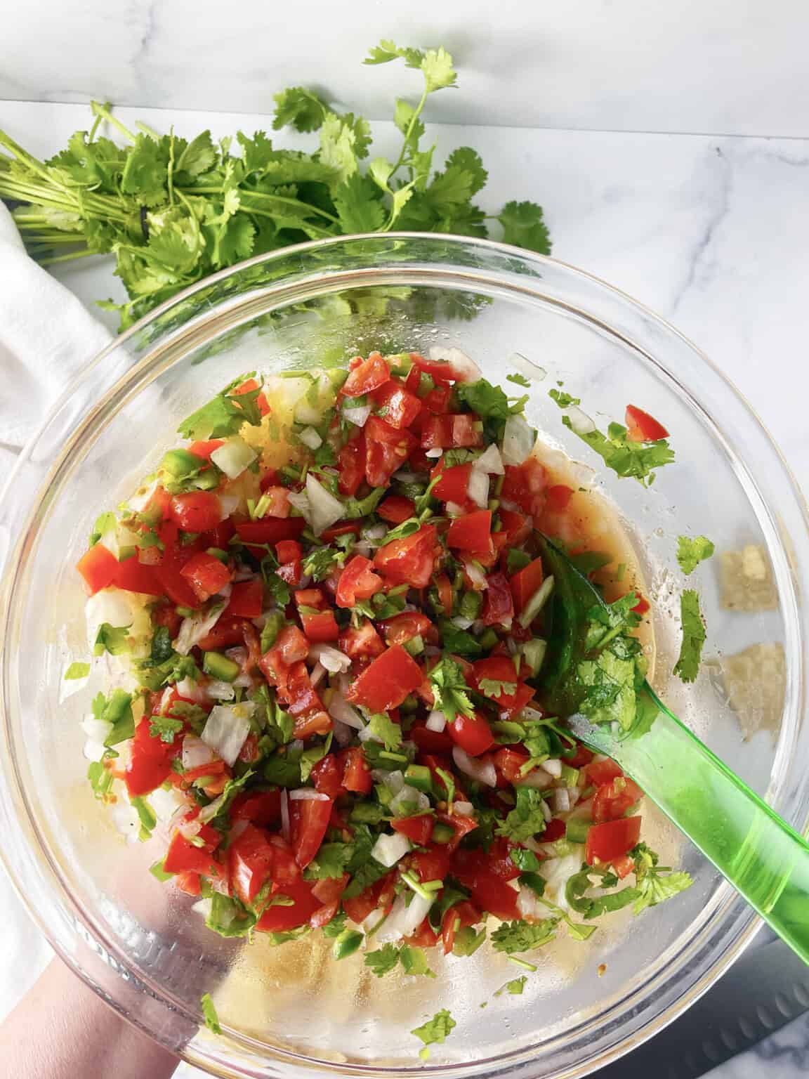 The Best Homemade Salsa Recipe You'll Ever Make - Mom Loves Baking