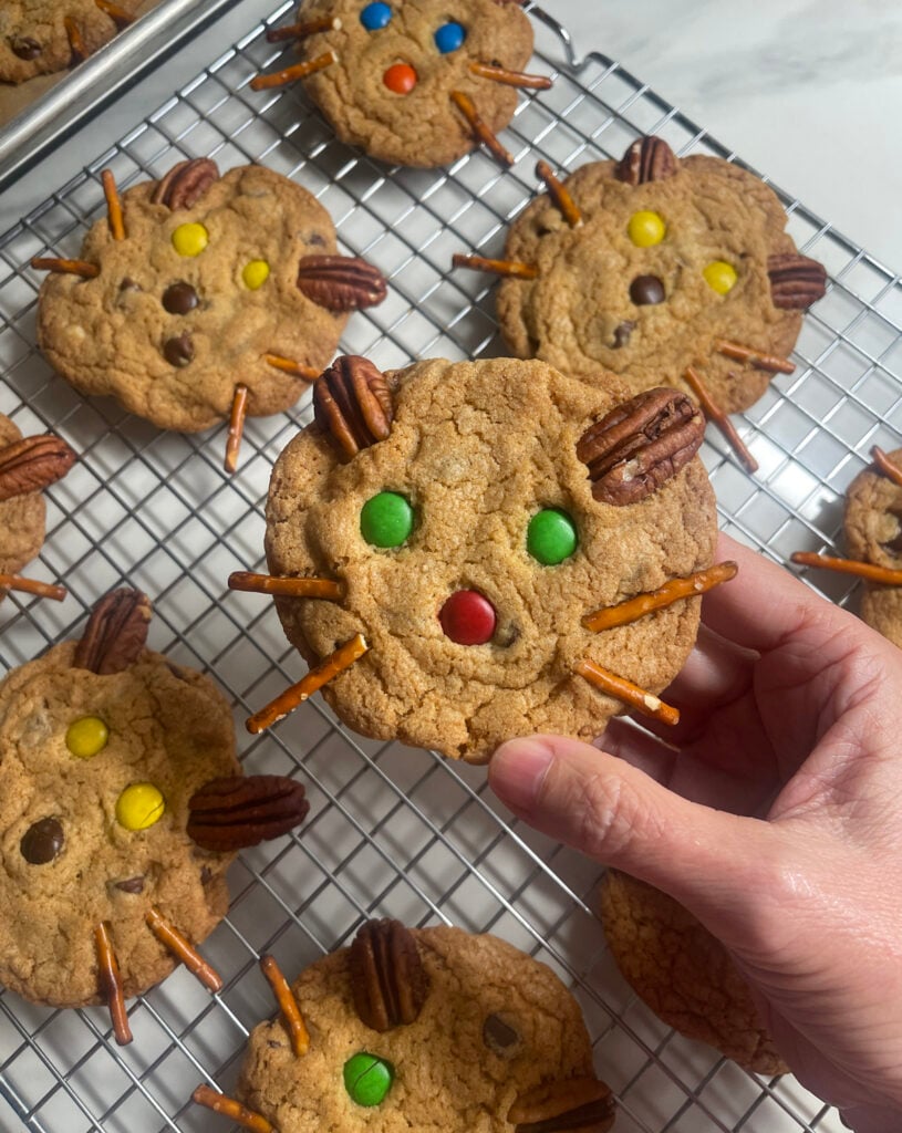 Kitty Cat Chocolate Chip Cookies - Mom Loves Baking